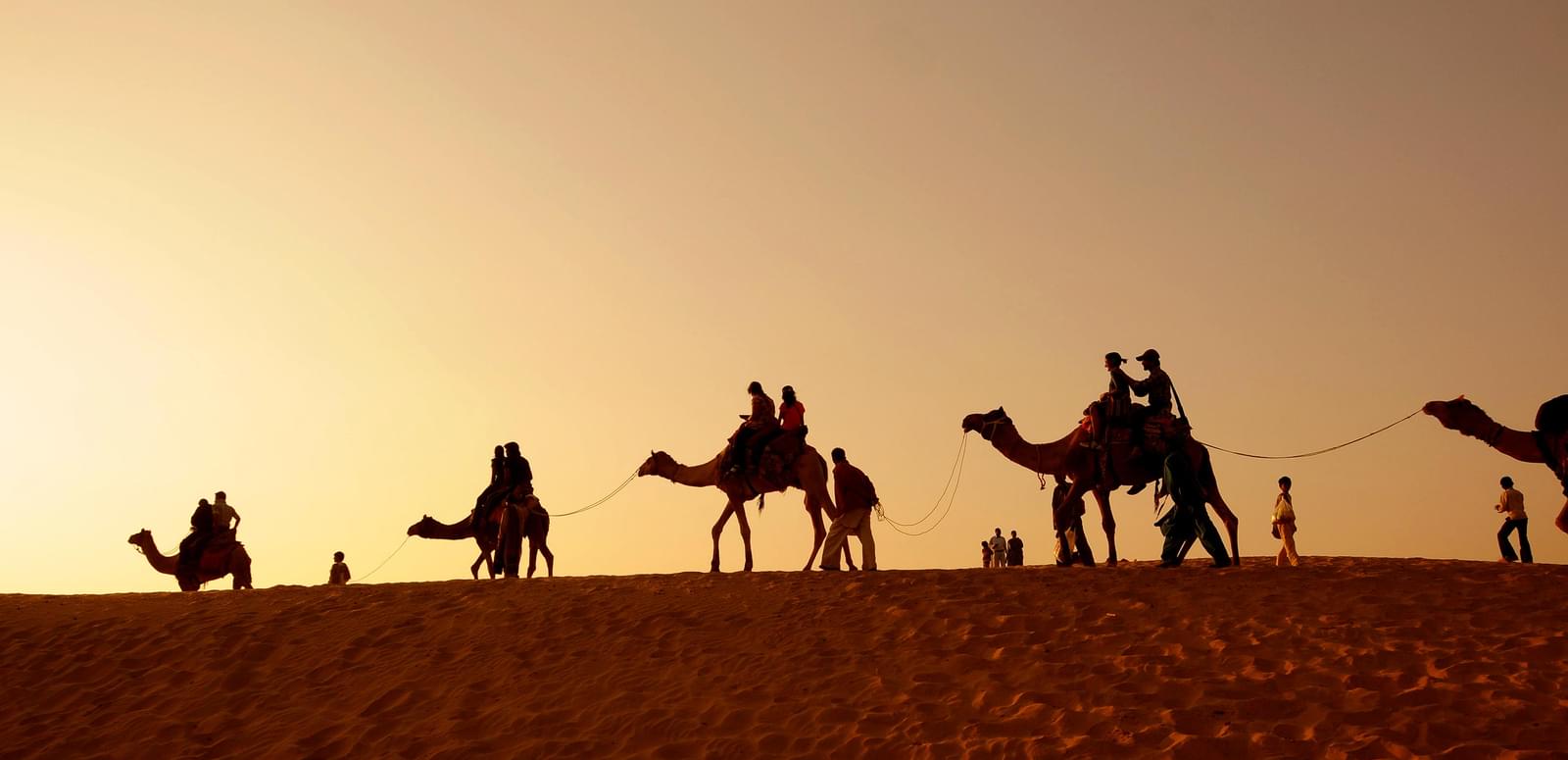 Overnight Camel Safari In Pushkar