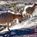 Kaza Weather: All Months Temperature Guide