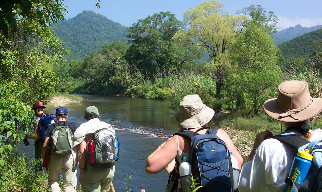 15+ Things to Do in Jim Corbett - Starting from ₹799 Only!