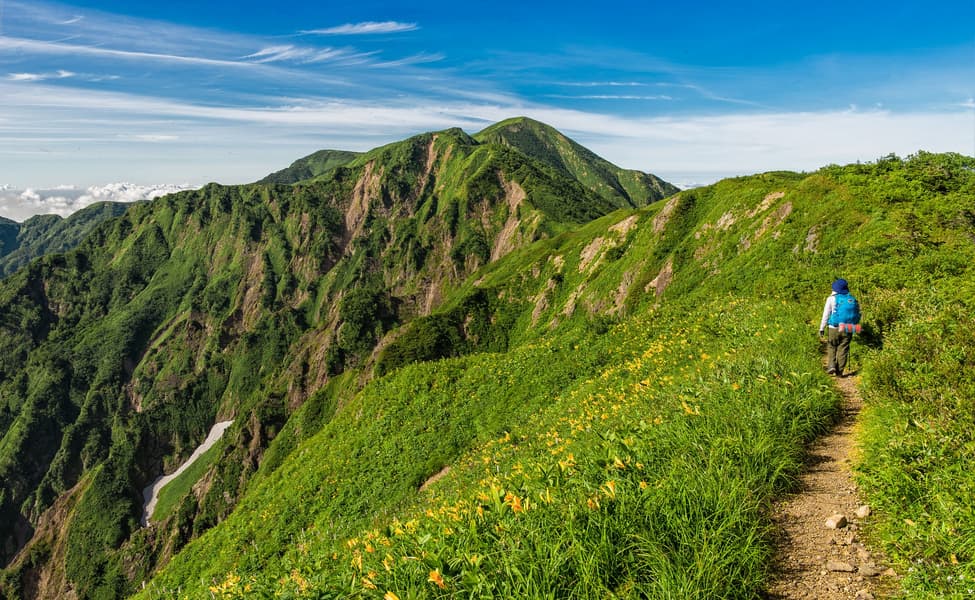 Trekking in Coorg: Book Best Treks in Coorg @₹850