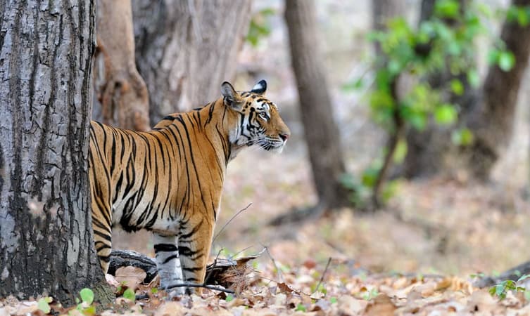 15 Best Photography Tours in India