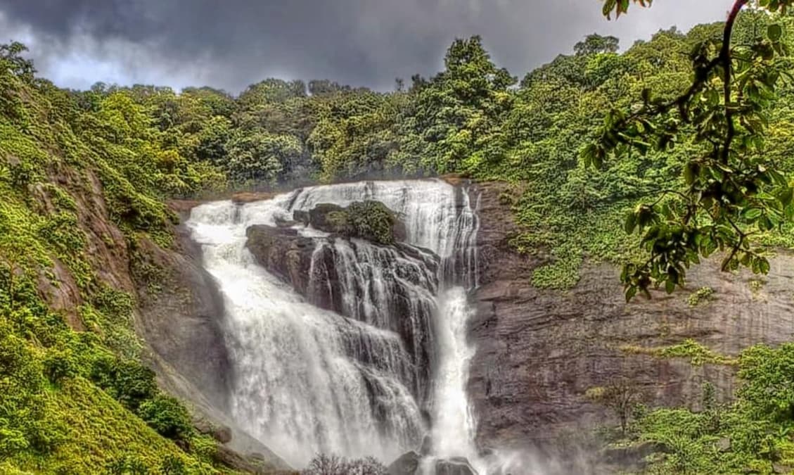 Dandeli Wildlife Sanctuary: Safari Timings, Entry Fee & Camps