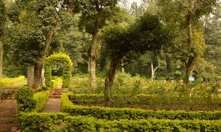 25 Places to Visit in Yercaud, Tourist Places & Attractions