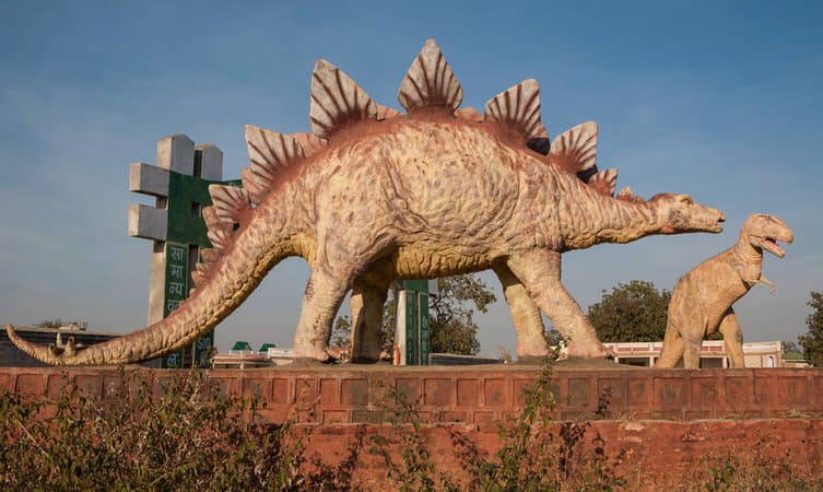9 Best National Parks in Madhya Pradesh - Where the Wild Meets Life!