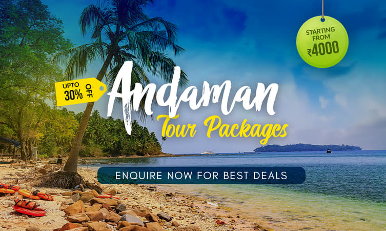 Andaman Cruise Packages: Book Now & Get Upto 20% Off