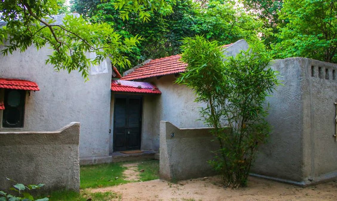 Pench National Park: A Detailed Travel Guide