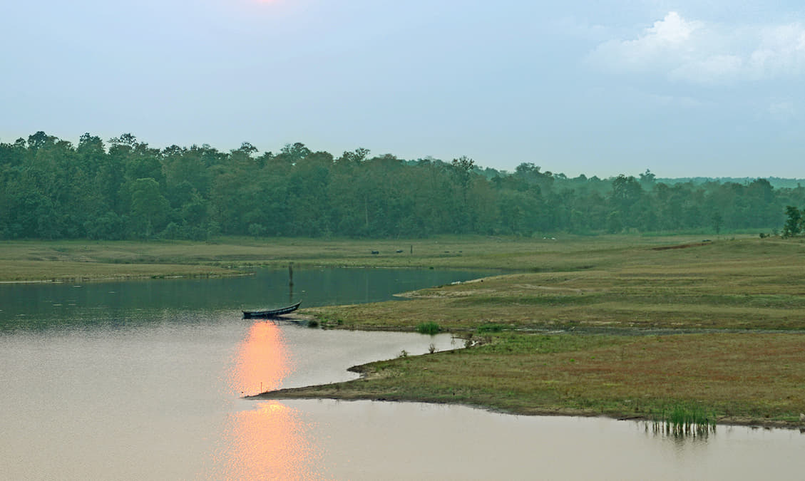 Pench National Park: A Detailed Travel Guide