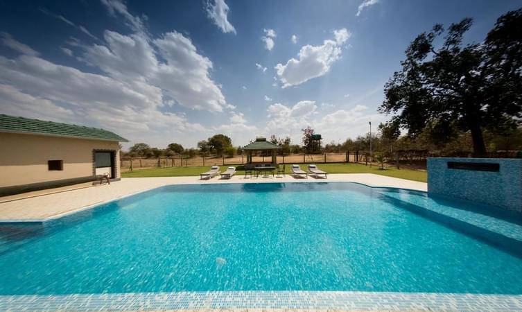 Pench National Park: A Detailed Travel Guide