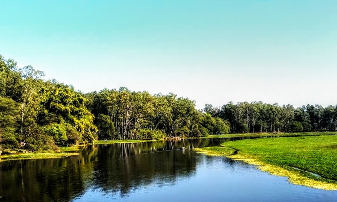 12 Best Picnic Spots Near Indore