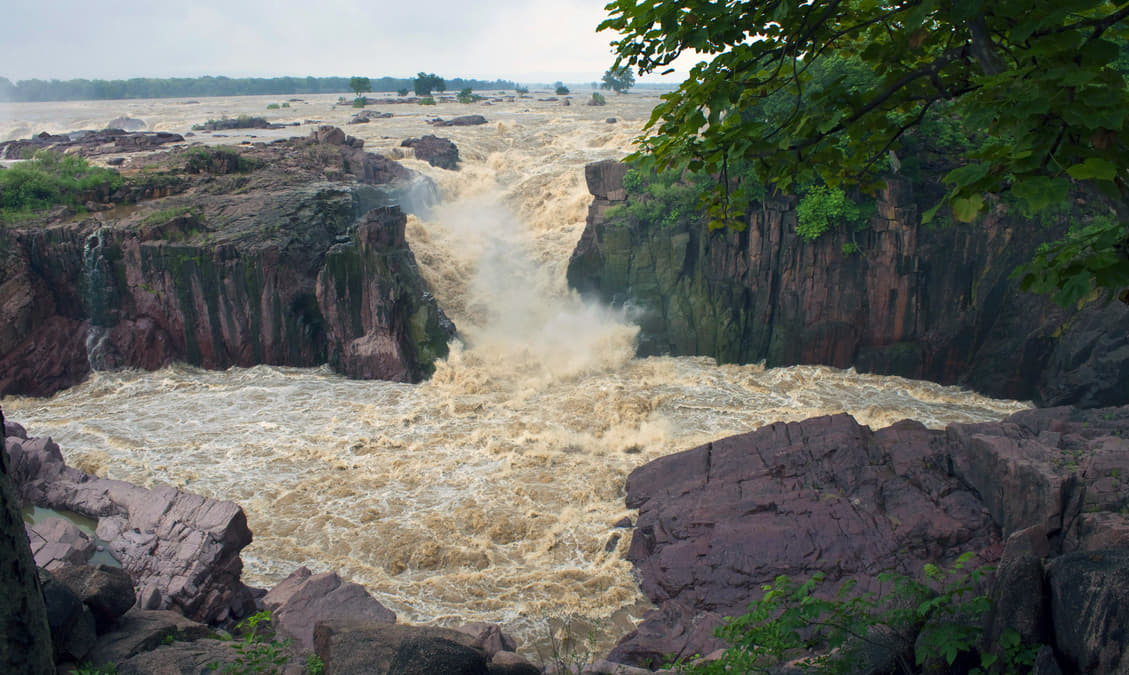 Panna National Park: A Detailed Travel Guide