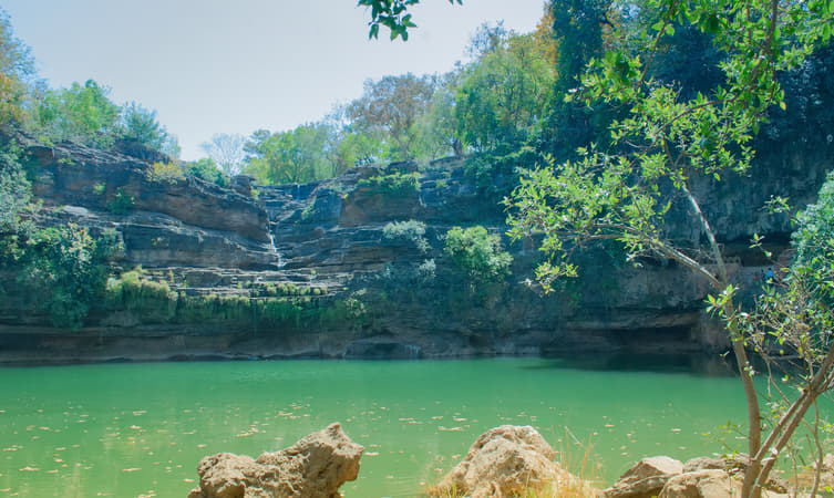 Panna National Park: A Detailed Travel Guide