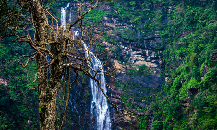 20 Places to Visit in Cherrapunji - 2025 (Photos & Reviews)