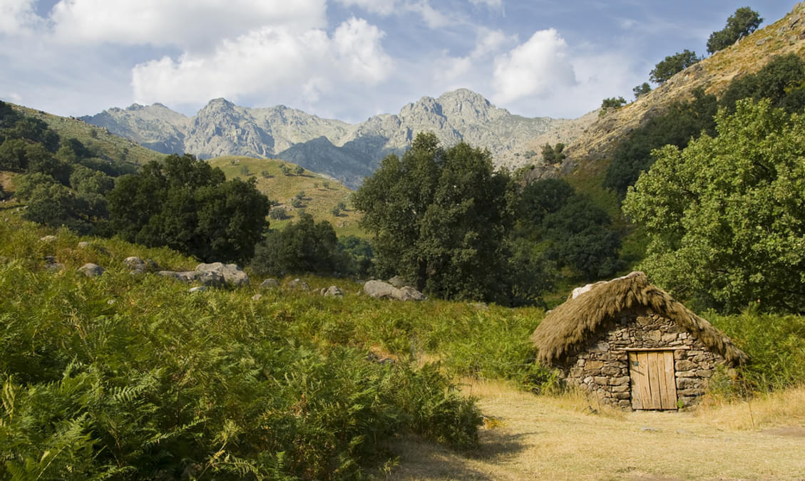 25 Places to Visit in Arunachal Pradesh: 2025 Updated