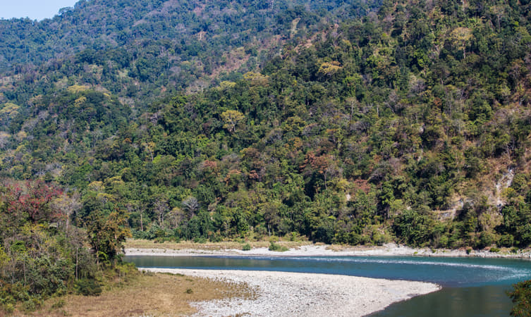 Manas National Park - A Detailed Guide