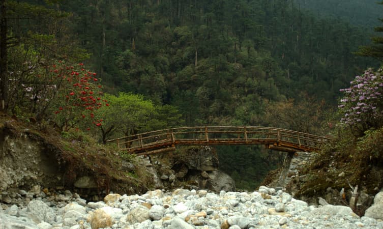 Best Time and Season to Visit North Sikkim in 2026