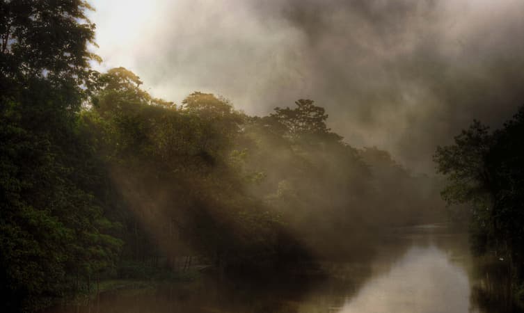 Best Time to Visit Assam