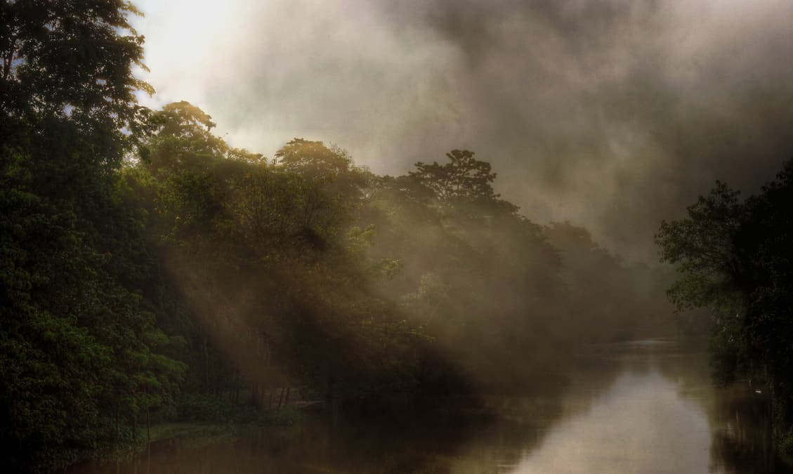 Best Time to Visit Assam