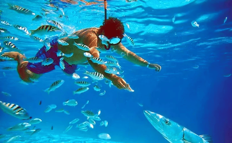 20 Fun Things to do in Goa for Youngsters - 2026