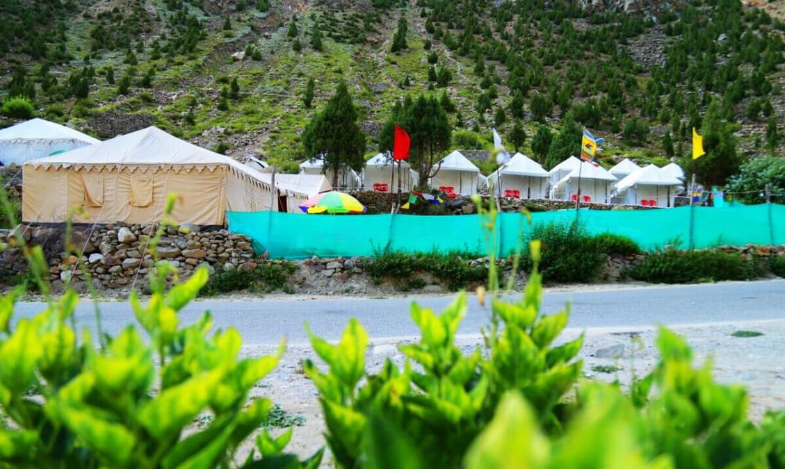 15 Camps in Jispa - 2025, Book Now & Get Upto 40% Off