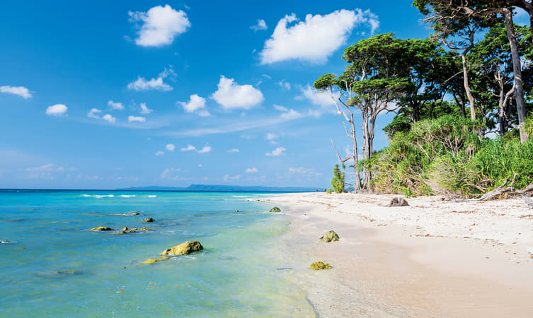 Andaman Weather and Temperature Guide - 2026