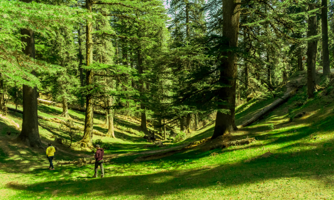 7 Best Things to Do in Kufri - 2025 (Photos & Reviews)