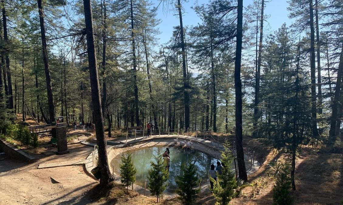 10 Best Places to Visit in Mashobra - 2026 (Photos & Reviews)