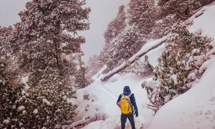 Best Time and Season to Visit Mussoorie in 2026