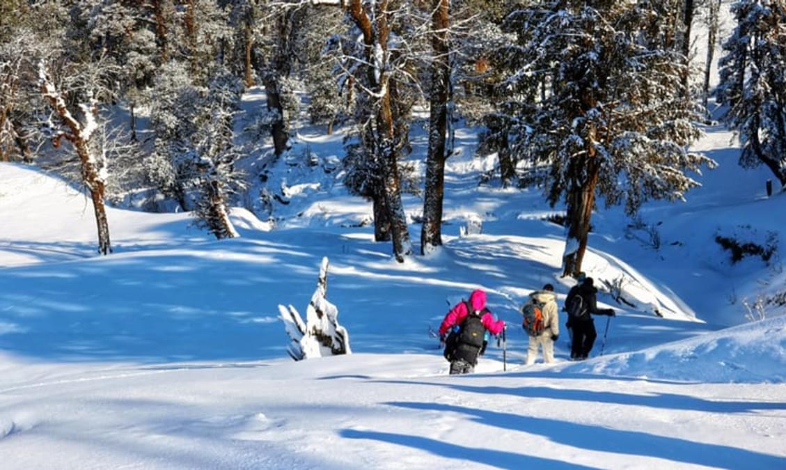 Best Time and Season to Visit Dehradun in 2025