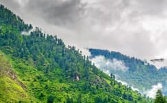 Chail Tourism, India: Places, Best Time & Travel Guides 2023
