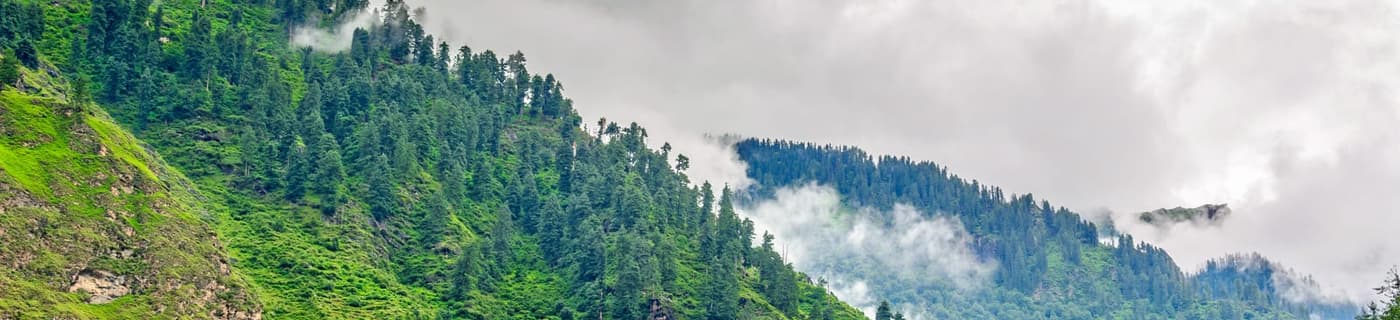Best Time and Season to Visit Chail in 2026