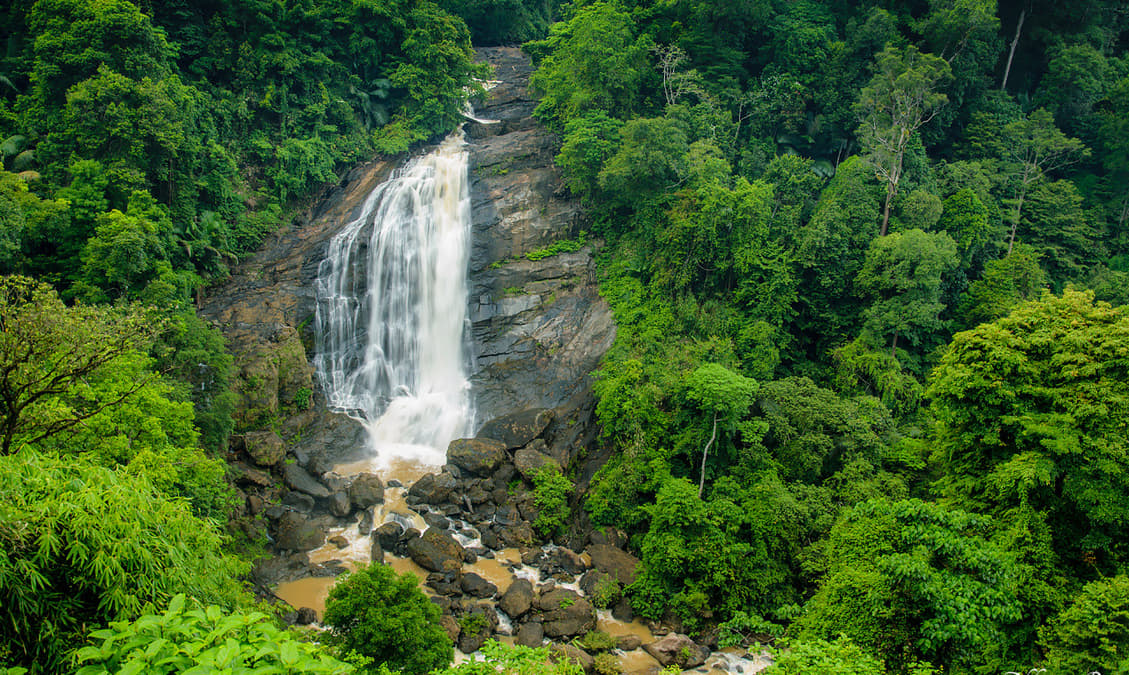 15 Best Waterfalls in Munnar - 2025 (with Photos & Reviews)