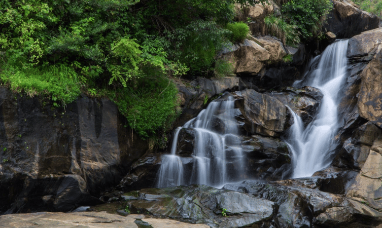 15 Best Waterfalls in Munnar - 2025 (with Photos & Reviews)