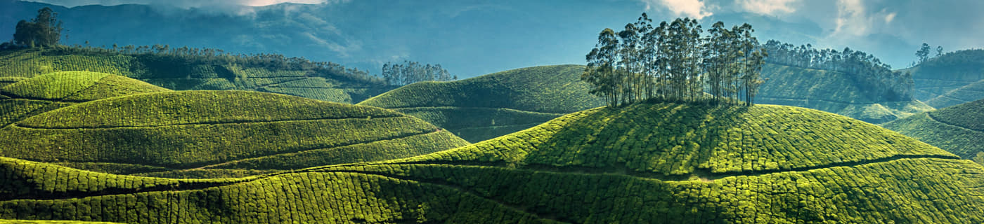15 Best Places to Visit in Munnar in One Day - 2025 (Photos)