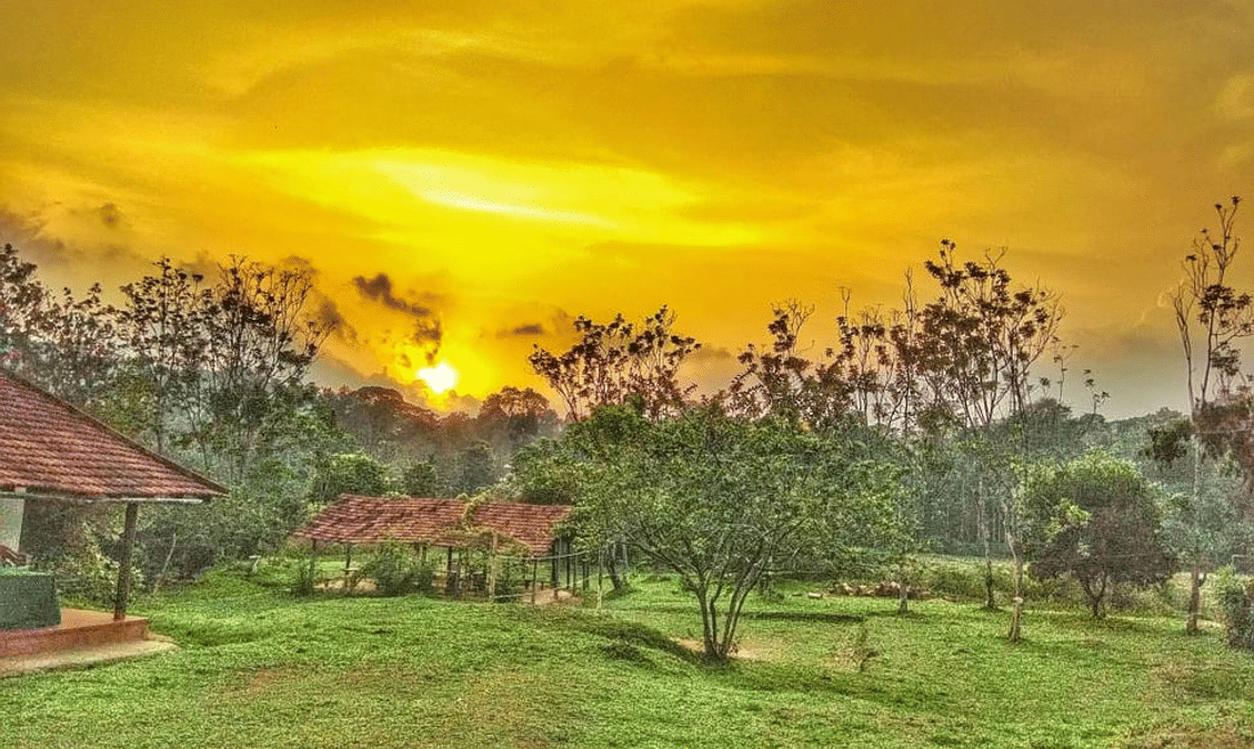 30 Best Places to Visit in India in January - 2025 (Updated)