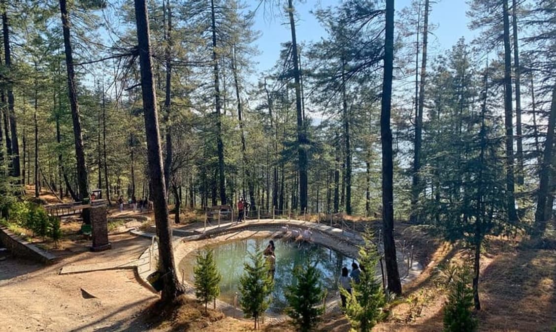 11 Best Things to Do in Mashobra - 2026 (Photos & Reviews)