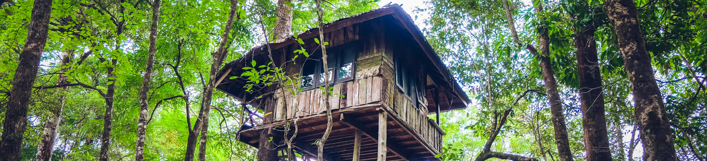 15 Tree Houses in Munnar, Book Now & Get Upto 50% Off