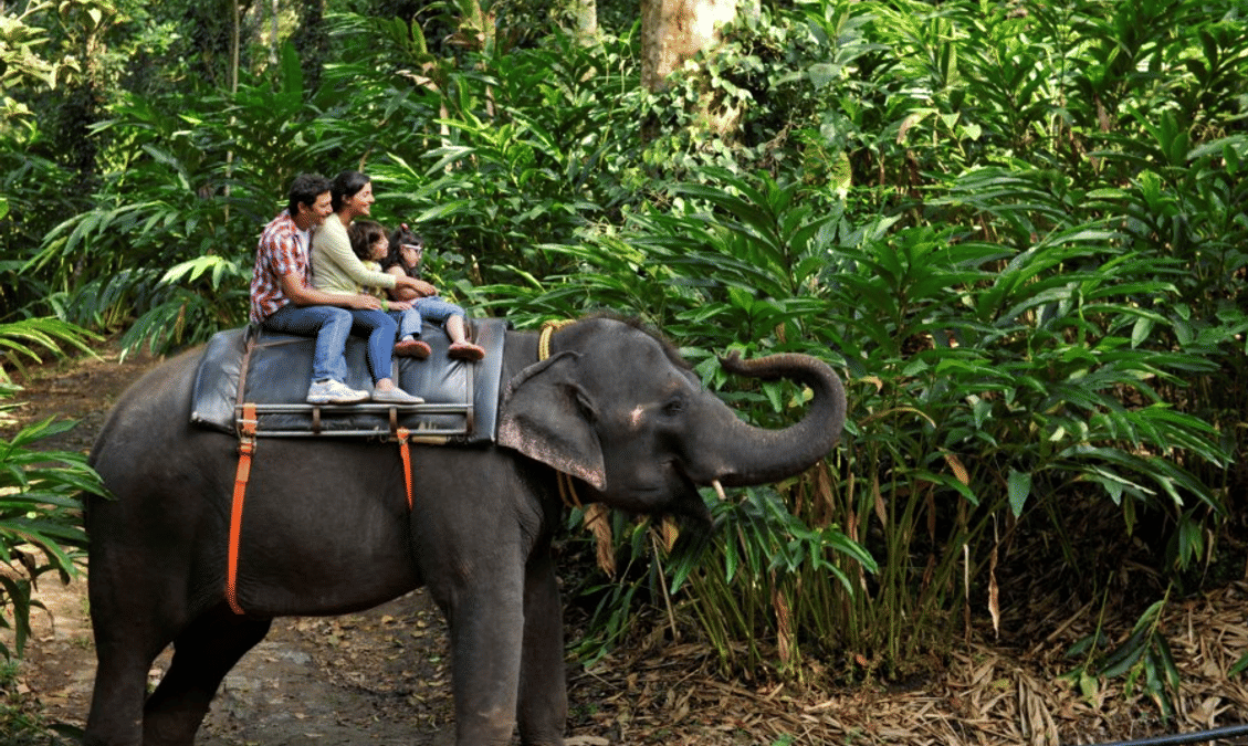 20 Things to Do in Thekkady | Book Now & Get Upto 25% Off