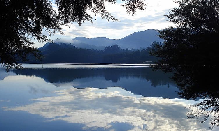 Best Time and Season to Visit Munnar - 2025