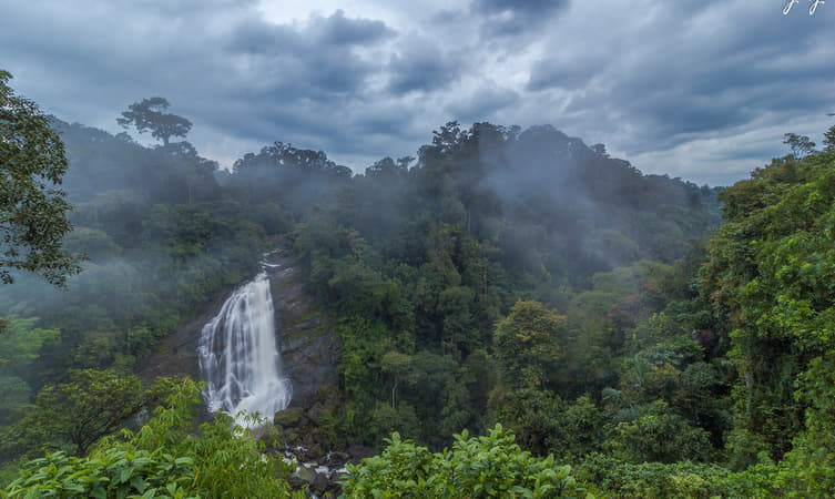 Best Time and Season to Visit Munnar - 2025