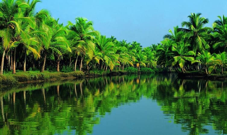 Alleppey Backwaters : A Detailed Travel Guide - 2025
