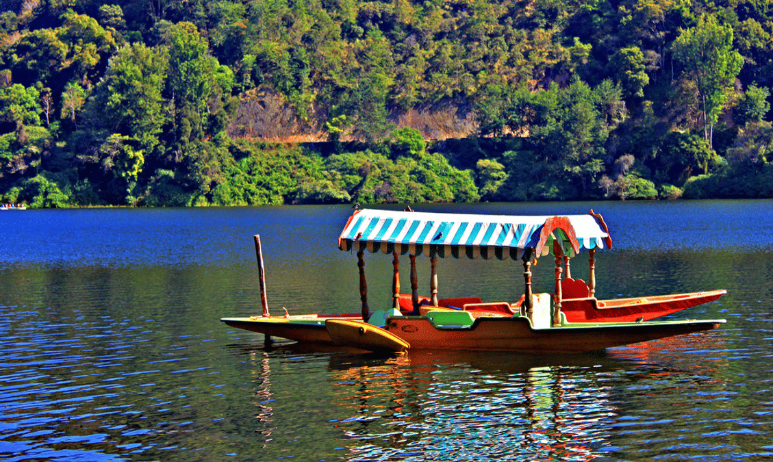 35 Things to Do in Munnar 2026 | Book & Get Upto 35% Off