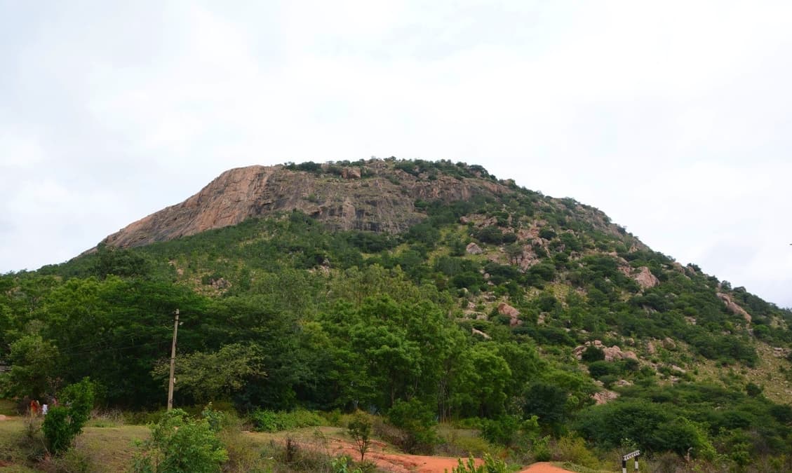 10 Best Forts in Bangalore - 2025 (1500+ Reviews & Photos)