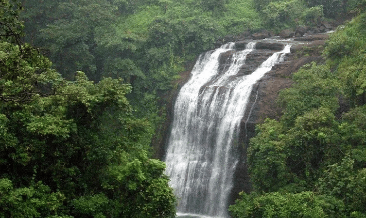 30 Waterfalls in Maharashtra: With Photos & Best Time