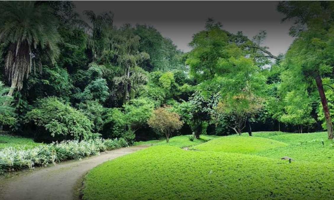 15 Best Gardens in Pune - 2025 (With Photos & Reviews)