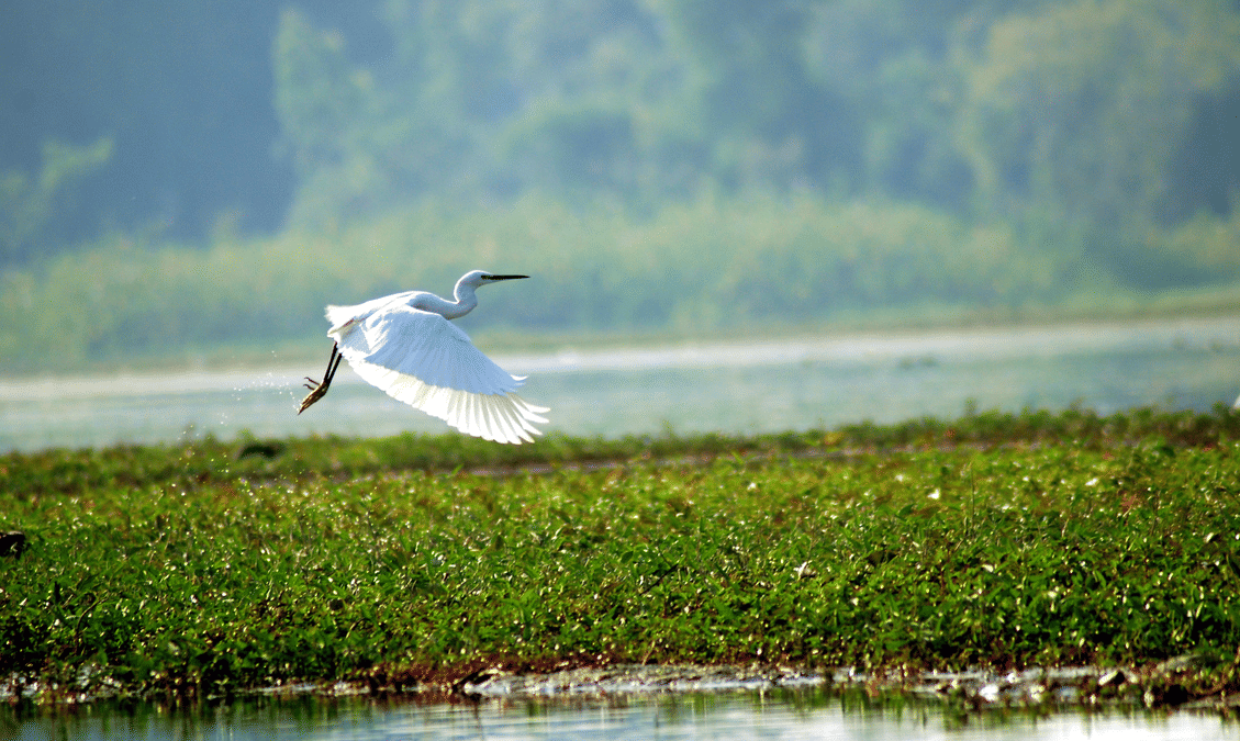 30 Best Wildlife Sanctuaries in Maharashtra - 2024 (With Photos)