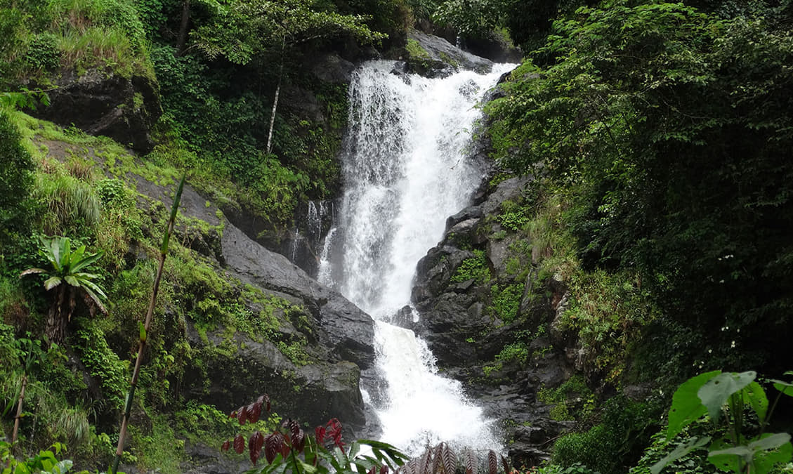 8 Best Waterfalls in Coorg - Distance & Best Time (Updated)