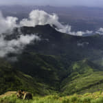 5 Resorts in Topslip, Book Now & Get Upto 50% Off