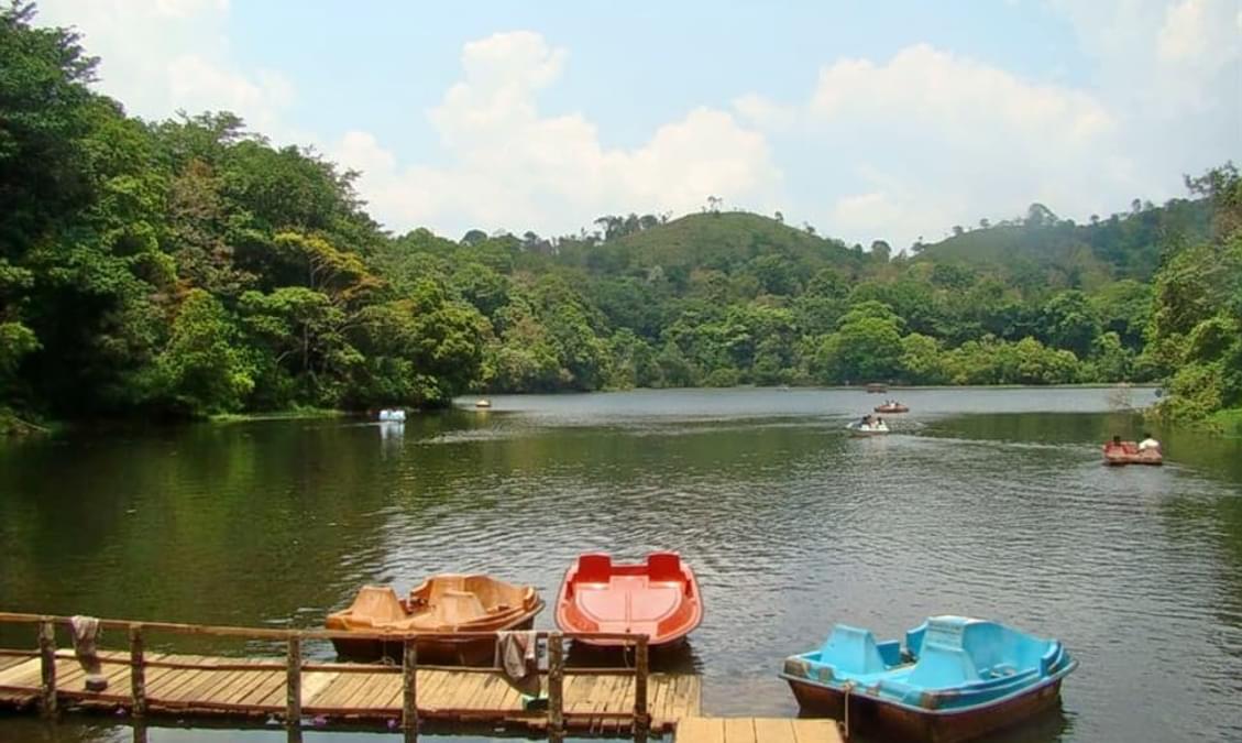 20 Kalpetta Tourist Places For A Scenic Escape in 2025