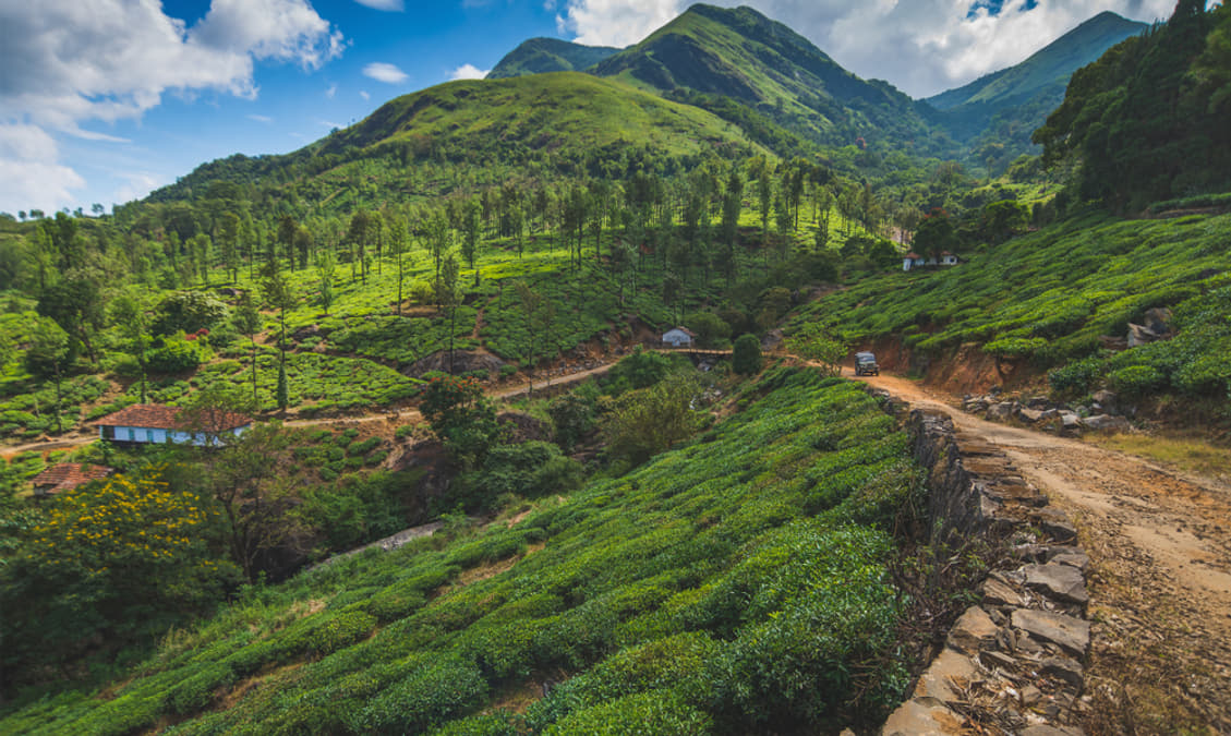 15 Places to Visit in Wayanad in 2 Days - 2026 (Updated List)
