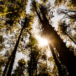 Karighatta Hill & Temple - A Detailed Travel Guide